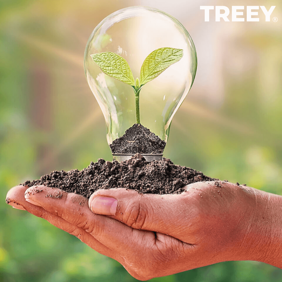 YouTube Ads Agency | YouTube Ads Management – TREEY® Google Ads Agency